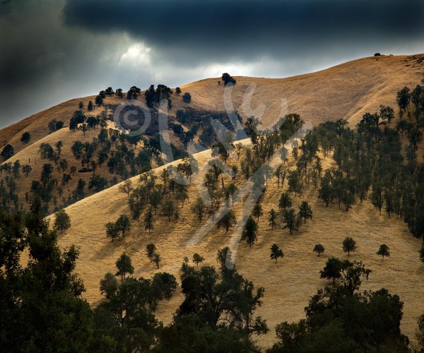 CALIFORNIA Springville