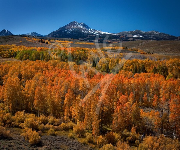 CALIFORNIA Willow Springs Autumn